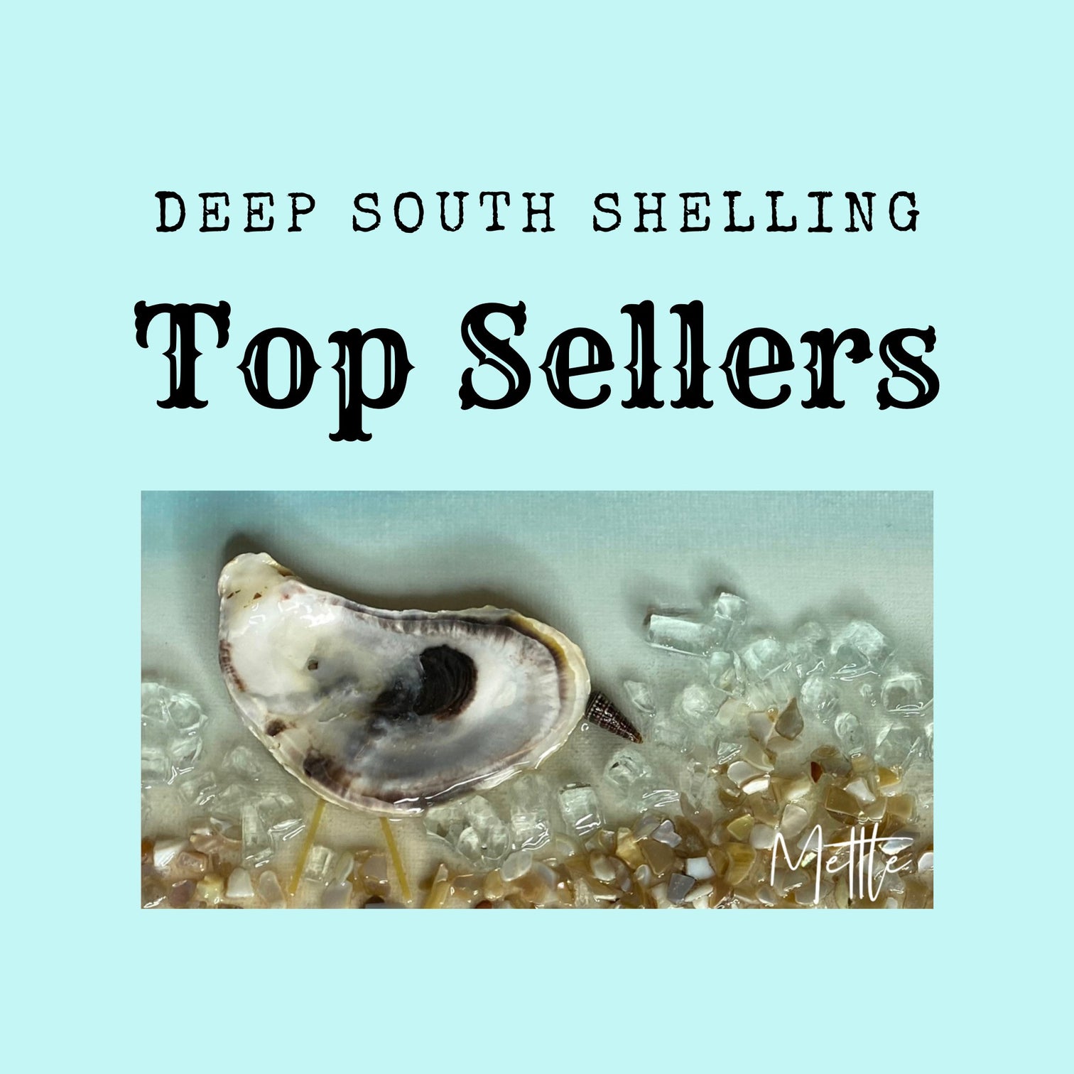 Collections – Deep South Shelling