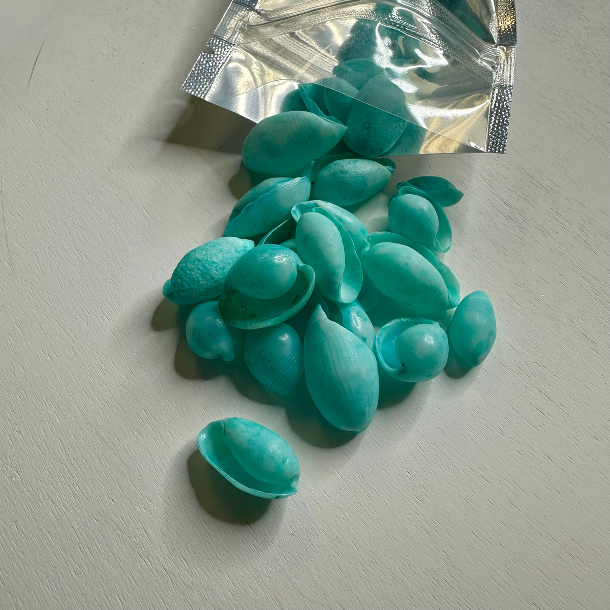 Aqua Bubble Shells – Deep South Shelling