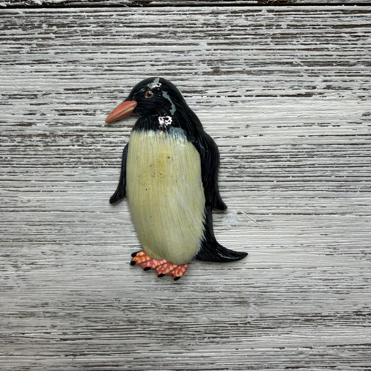 Penguin Magnet – Deep South Shelling