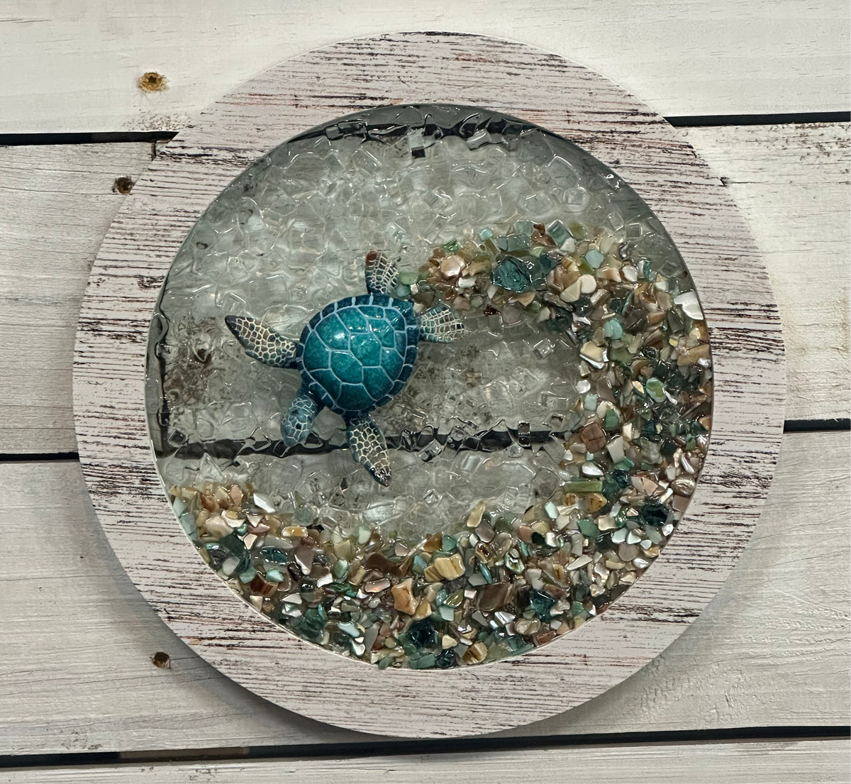 12” Porthole Turtle Kit – Deep South Shelling