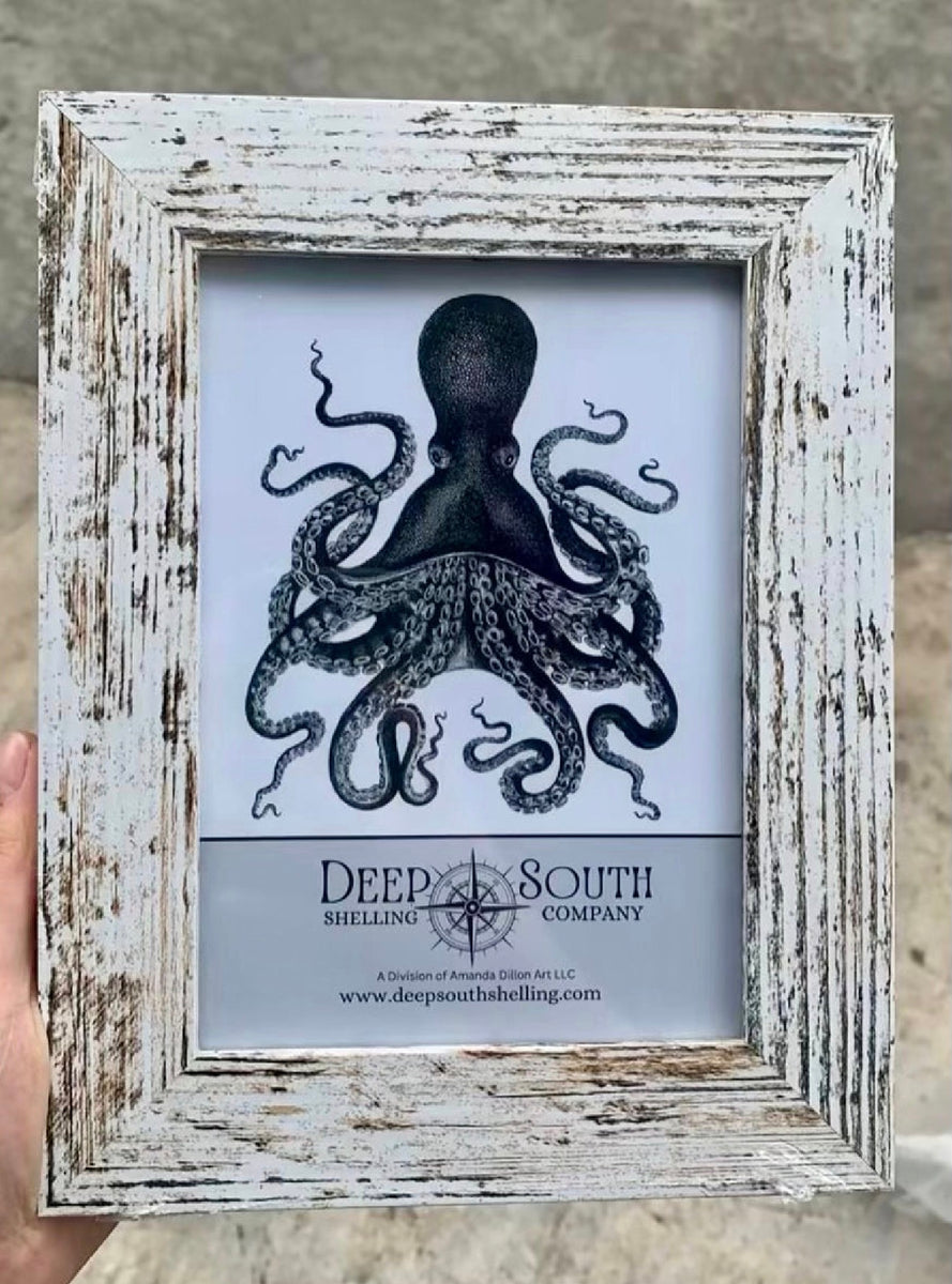 BULK 40 Pack 5x7 Weathered Frame – Deep South Shelling