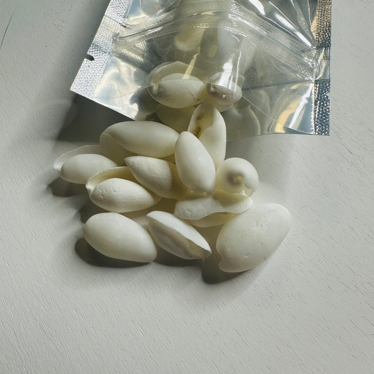 White Bubble Shells – Deep South Shelling