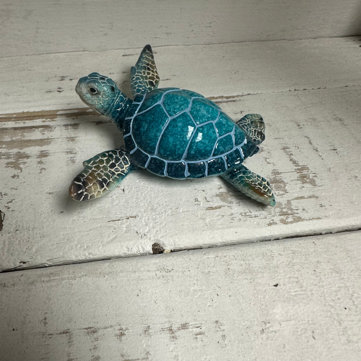 Bulk Q4 Lg Aqua Sea Turtle Figurine – Deep South Shelling