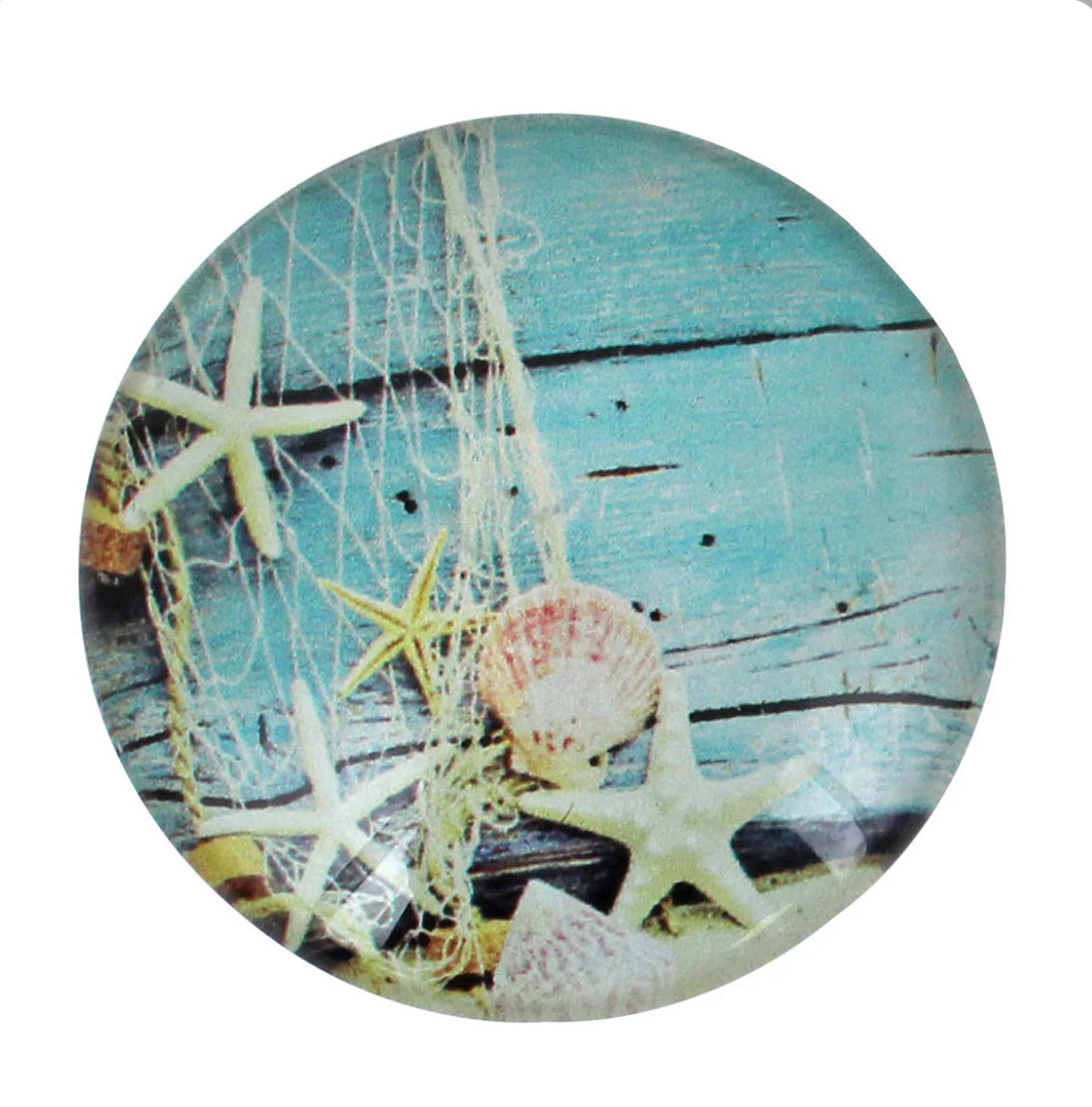 Glass Magnet Sea Star – Deep South Shelling